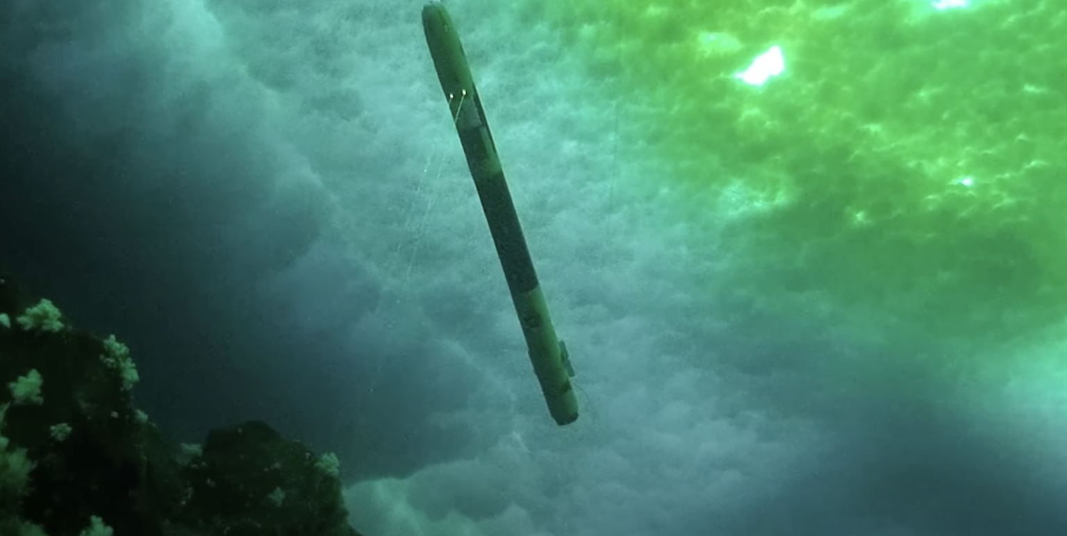 Assista a impressionantes imagens subaquáticas da geleira Thwaites ...